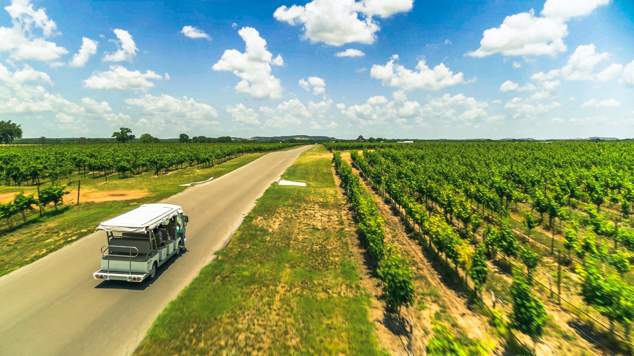Augusta Vin - Fredericksburg TX Winery